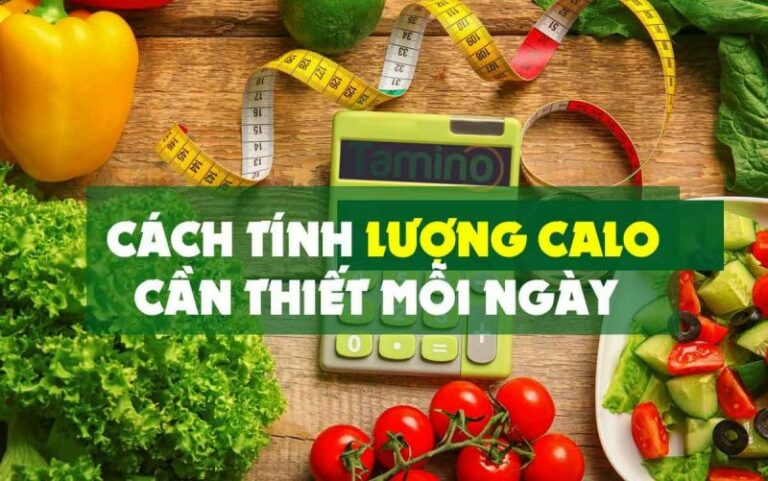 Tìm hiểu cách tính calo trong thức ăn và những yếu tố ảnh hưởng